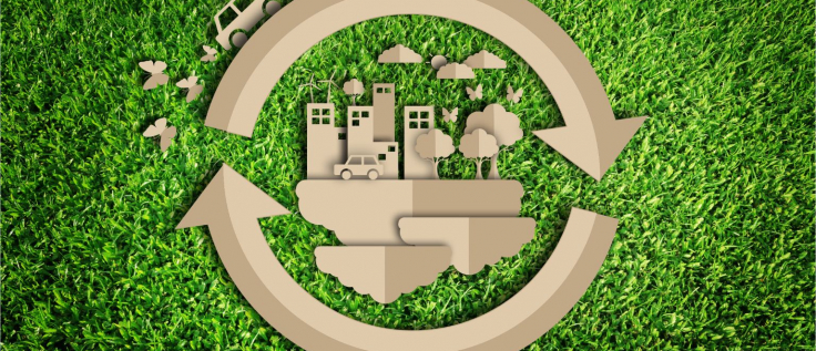 The Environmental Edge: Harnessing Digital Color Proofing for a More ...